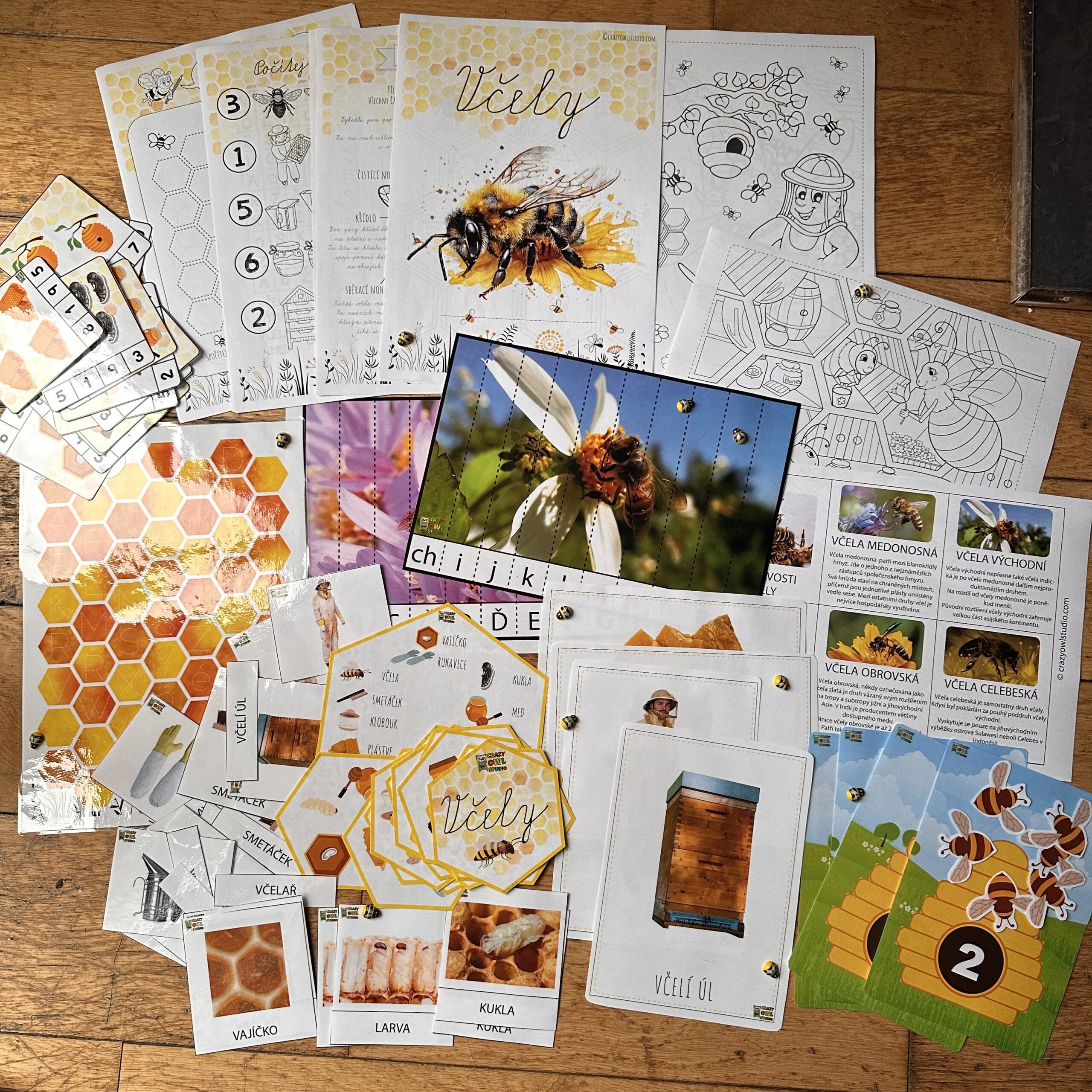 Projekt VČELY – Crazy Owl Studio